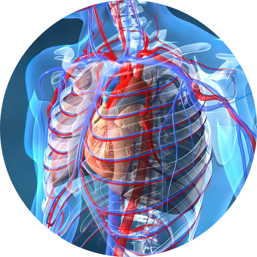 Calroy Health Sciences - Arterosil HP and Vascanox HP
